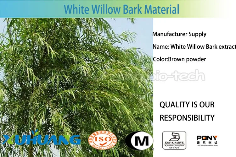 White Willow Bark Extract 15%-98% Salicin Salix Alba Extract For ...