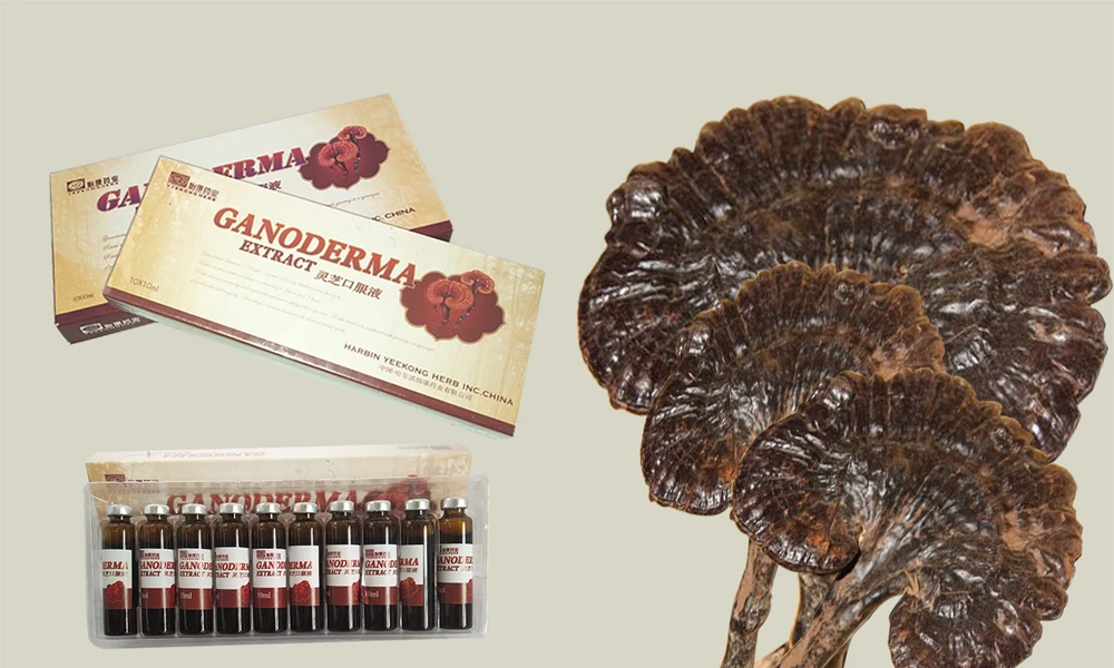 Promotion Hot Sales Health Ganoderma Extract Reishi Extract Liquid ...