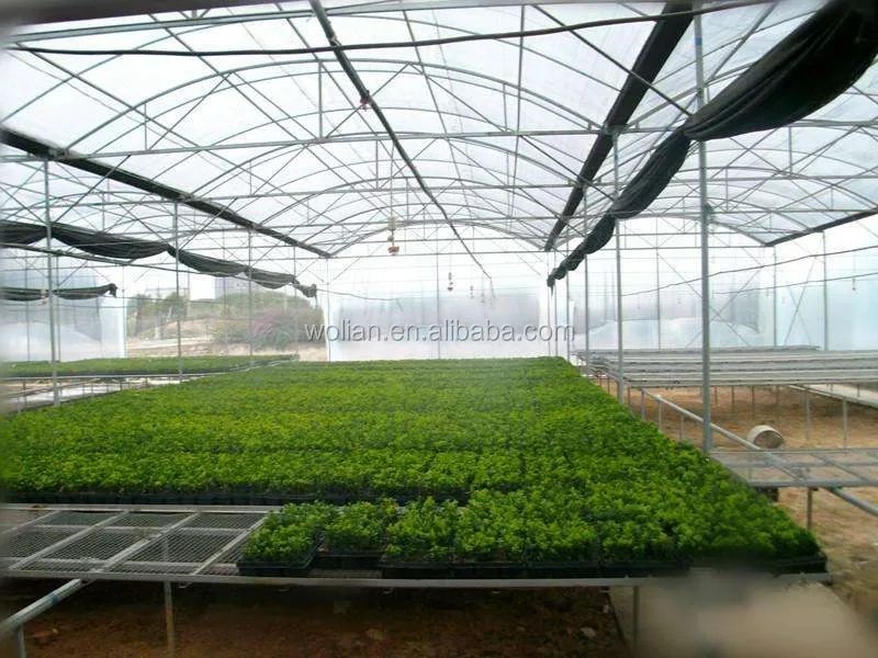 Greenhouse Movable Seeding Bed - Buy Greenhouse Equipment,Stainless ...