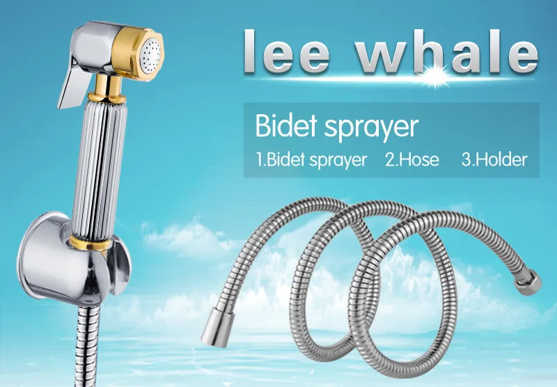 Milano Brass Hand Bidet Sprayer Set With Flexible Hose And Holder - Buy ...