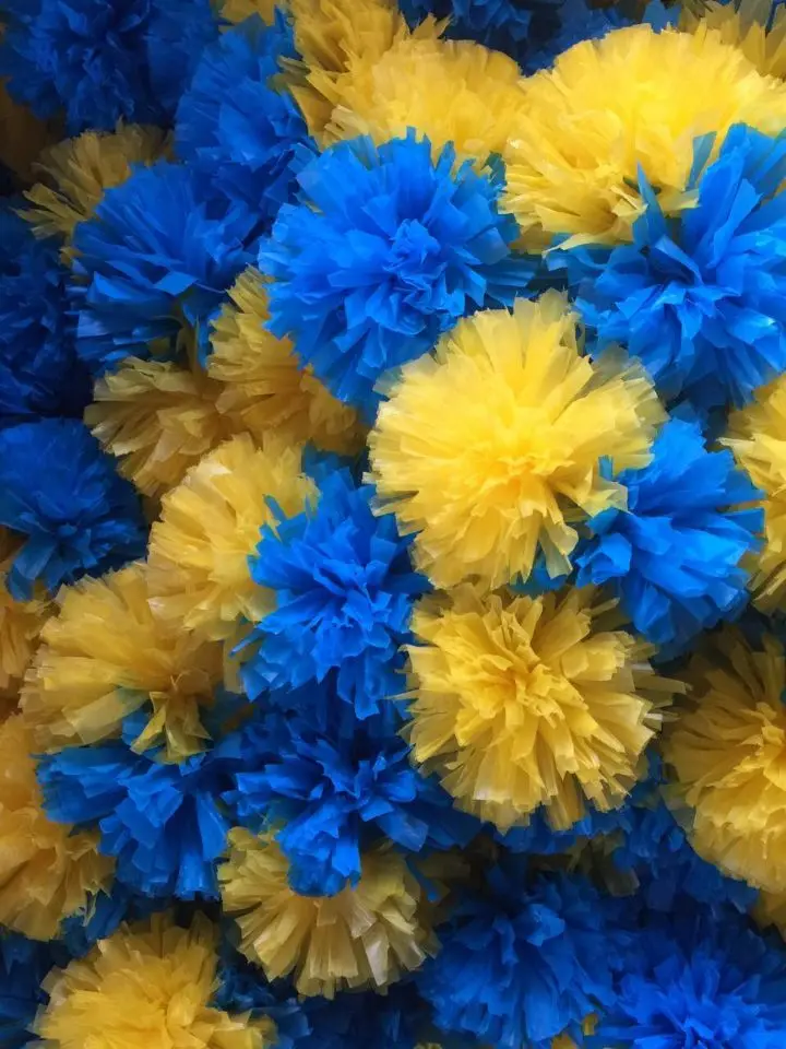 Assorted Size Colorful Cheerleading Flogger Customized Cheerleading Pom ...