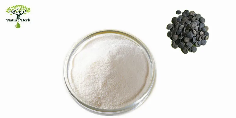 Griffonia Simplicifolia Seed Extract 5-htp Powder (hydroxytryptophan ...