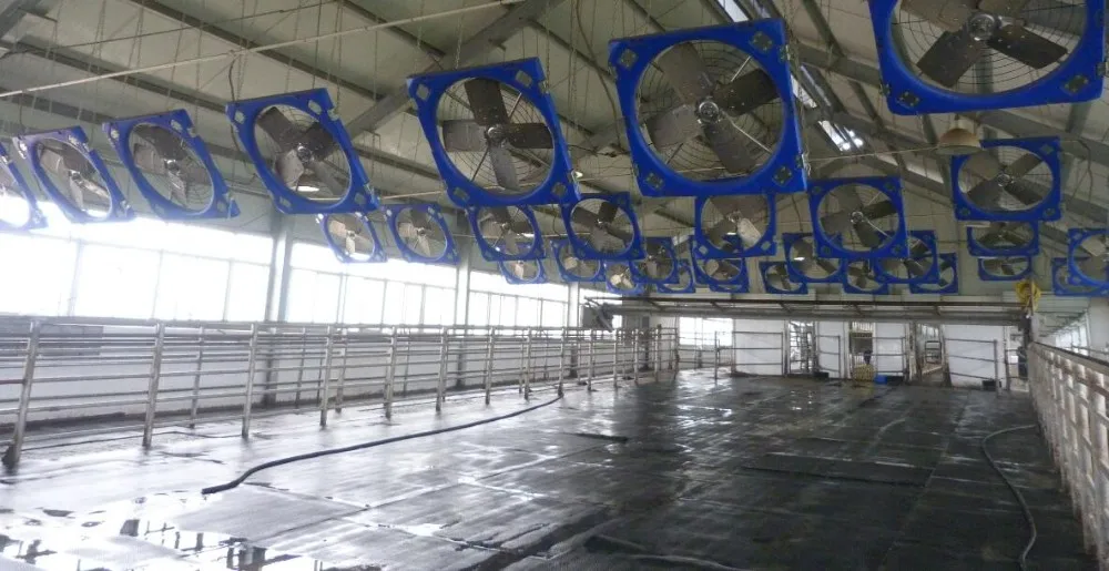 Agricultural Propeller Fan For Cow Barn/pig Barn - Buy Rotational Fan ...