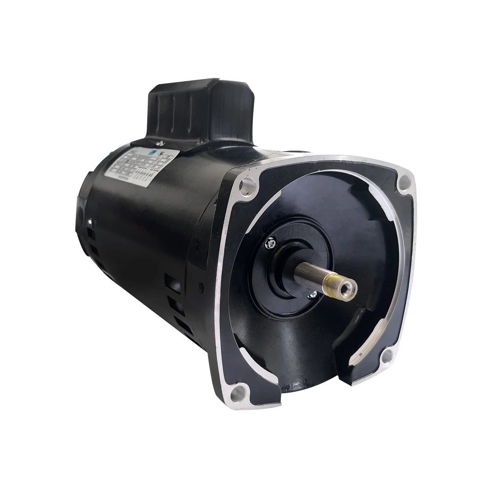 GW Square Flange Electric Water Pool Pump Motor Price