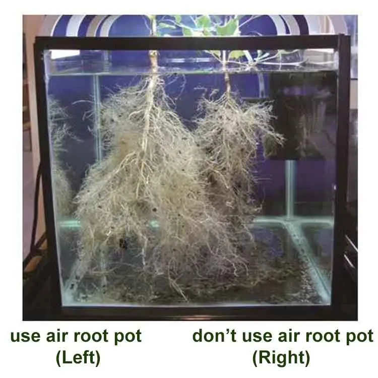 Rootmaker Pots - Ideal for Horticultural Greenhouses