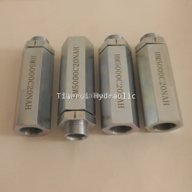 HM5000C不锈钢锥形过滤器HM5000C04NMH高压液压过滤器砂砾停止过滤器| Alibaba.com