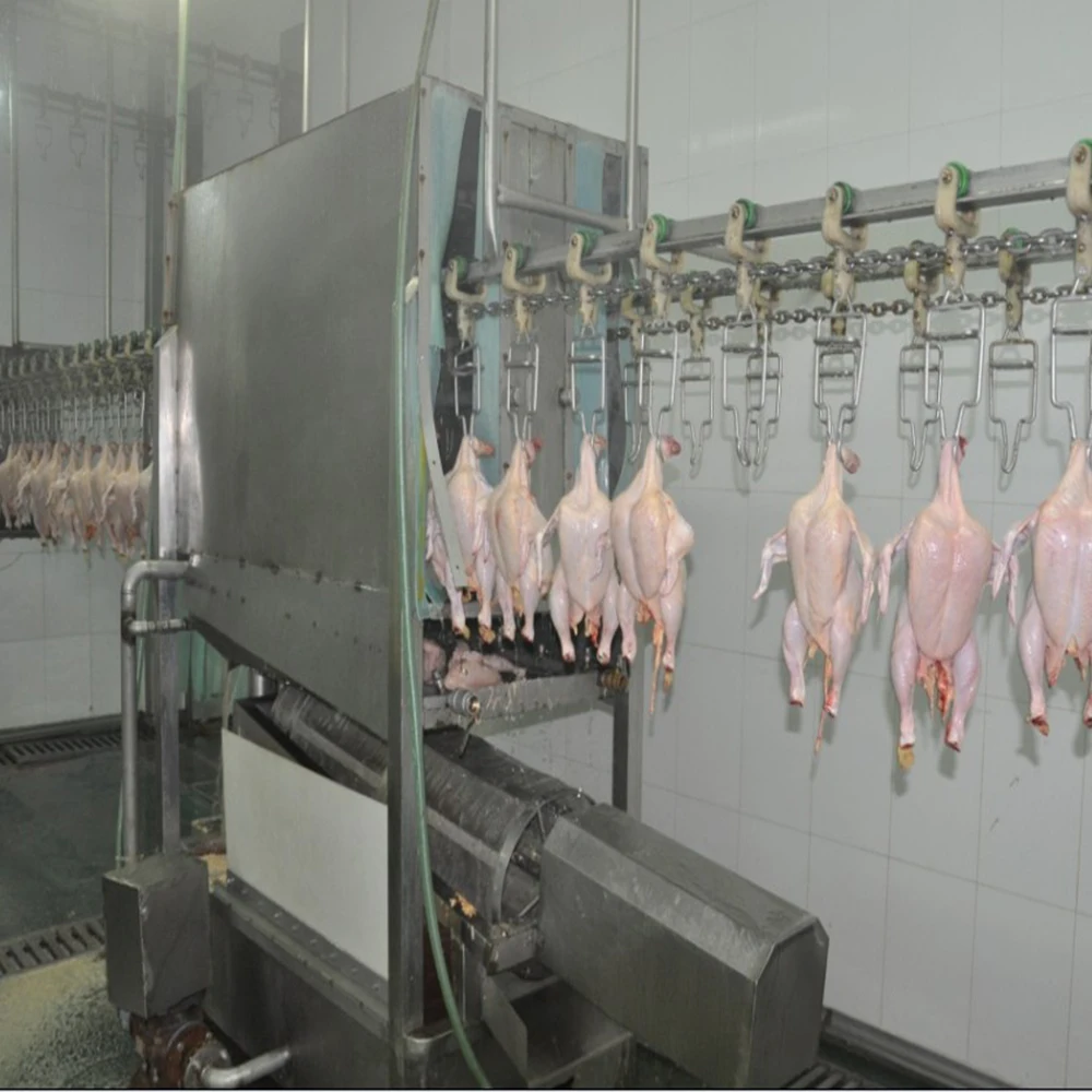 Poultry Processing - Efficient Bird Washers for Slaughterhouses