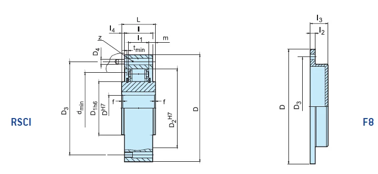 RSCI One Way Backstop Bearing - Centrifugal Clutch with Sprag