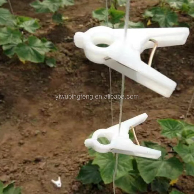 Greenhouse Plastic Spring Hanging Clip For Cucumber - Buy Plastic ...