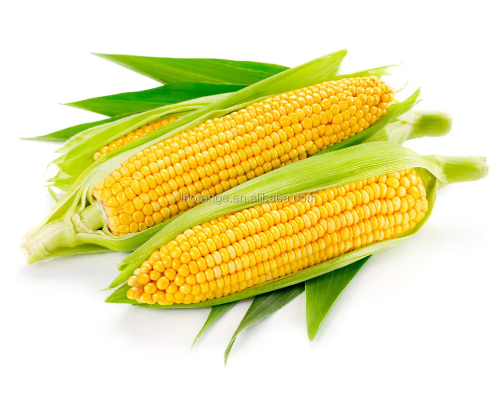 Hot Selling Fresh Sweet Corn Husker Machine - Buy Fresh Sweet Corn ...
