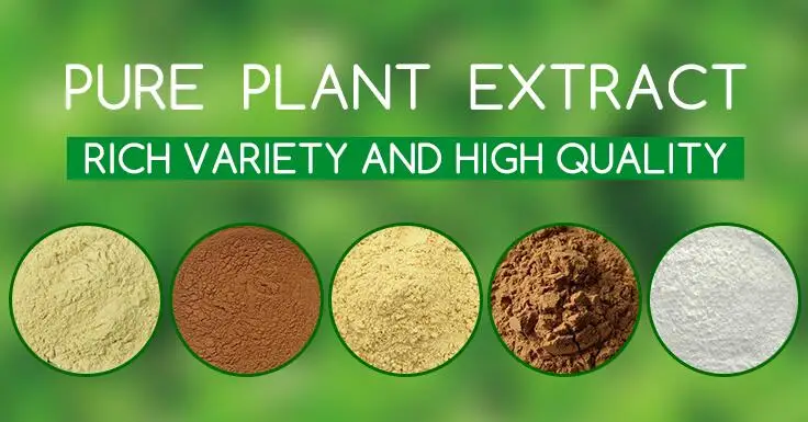 Natural Tripterygium Wilfordii Seeds Thunder God Vine Root Extract ...