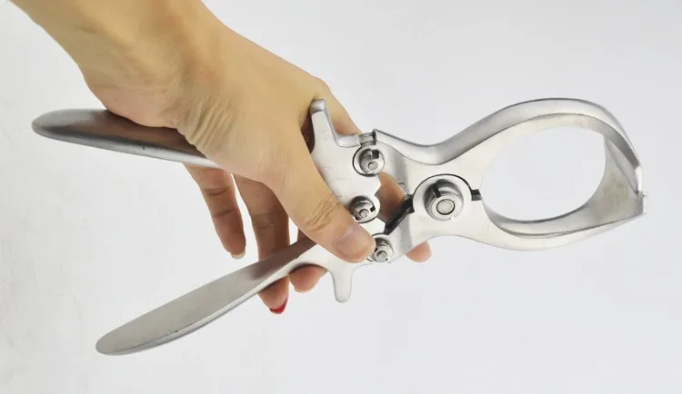 9" Full Stainless Steel Castration Tools Veterinary Castration For Pig ...