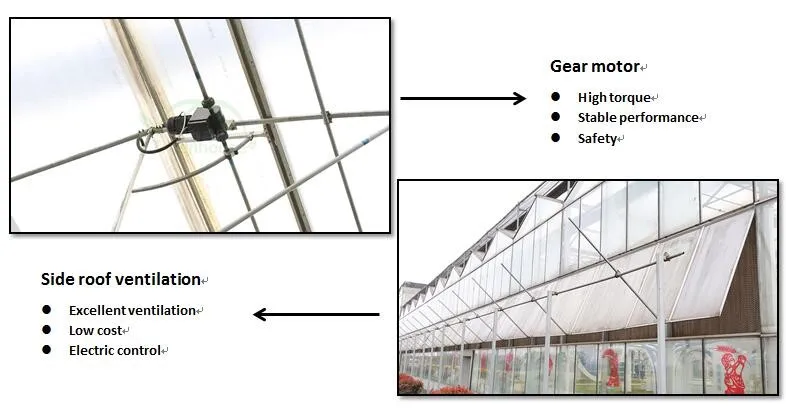 Rack And Pinion For Greenhouse Ventilation - Buy Rack And Pinion Gears ...