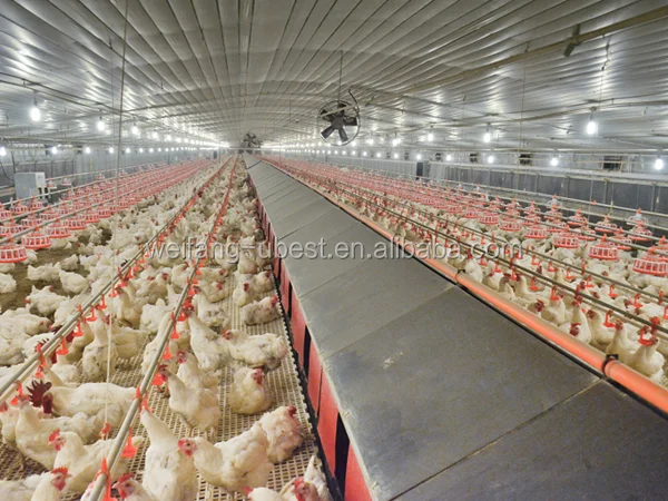 Cheap Price Plastic Slat Floor For Chicken Broiler Farm Poultry Plastic ...