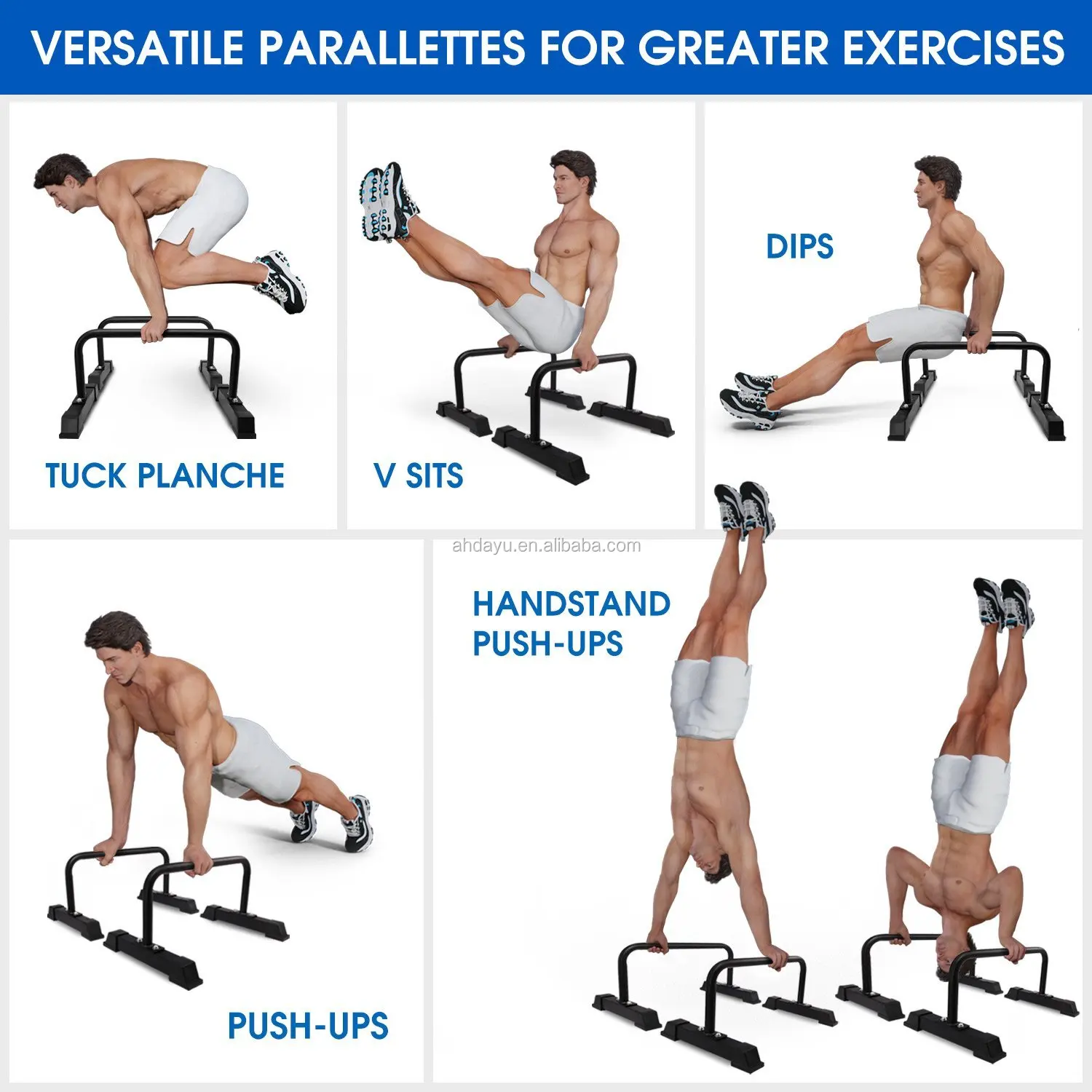Parallel Bar Parallettes - Perfect for Push up Training