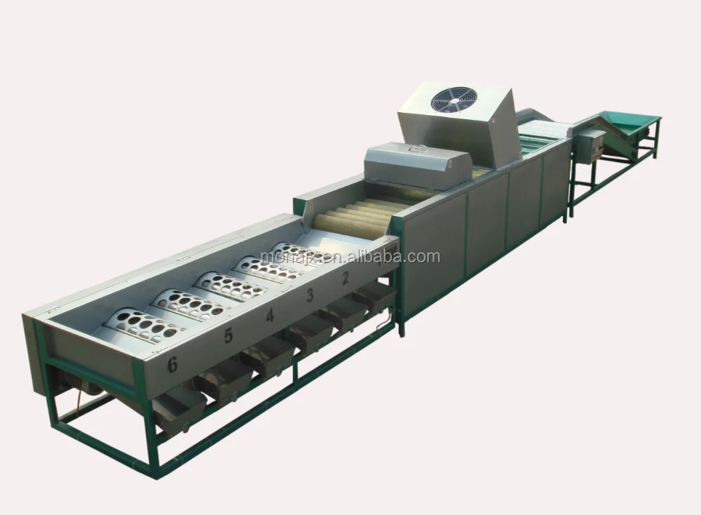 Professional Citrus Fruit Sorting Machine|citrus Apple Waxing Machine ...