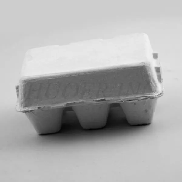 Molded Pulp 6 Holders Egg Carton - Buy Pulp Egg Carton,Paper Egg ...
