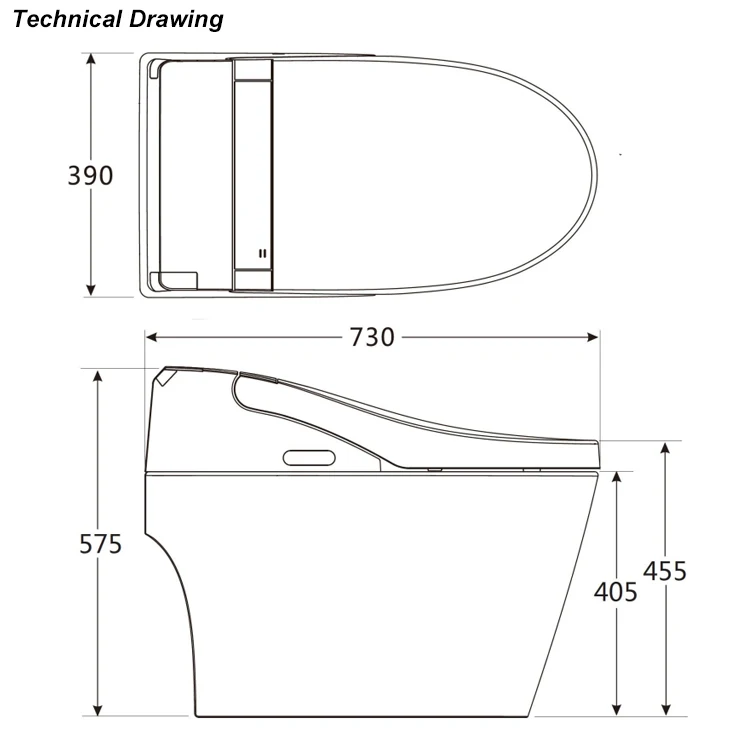 Intelligent One Piece Closed Coupled Rimless Toilet V8300