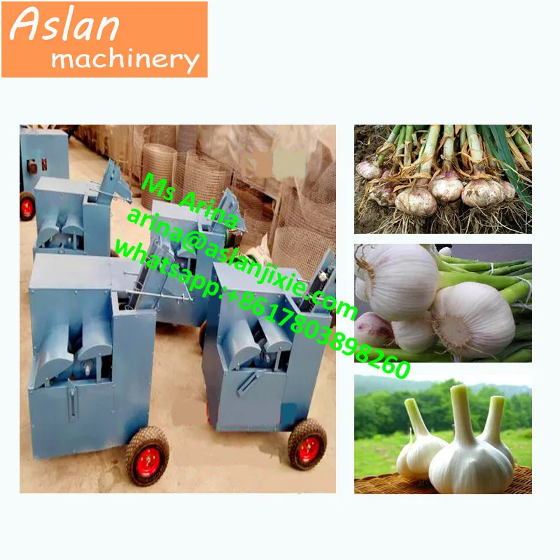 Dry Garlic Root And Stem Cut Machine/ Onion Top And Tail Cutter/ Flat ...