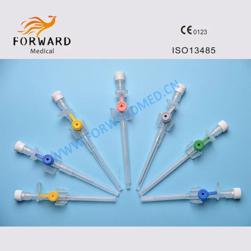 Disposable Medical Indwelling Needle With Price - Buy Iv Cannula ...