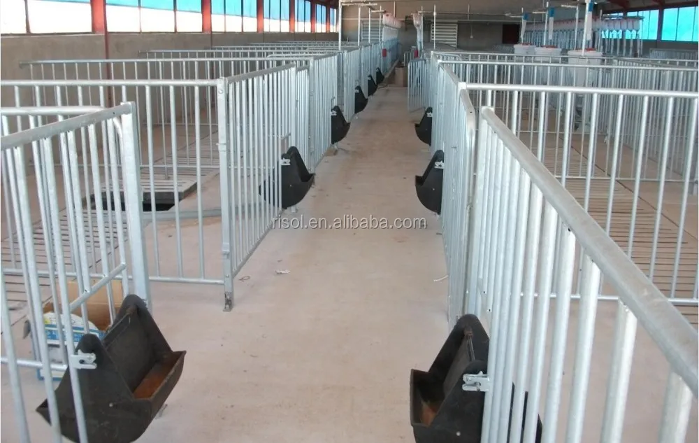 Hot Dip Galvanized Mating Animal Cages Pig Cages - Buy Pig Cages,Pig ...