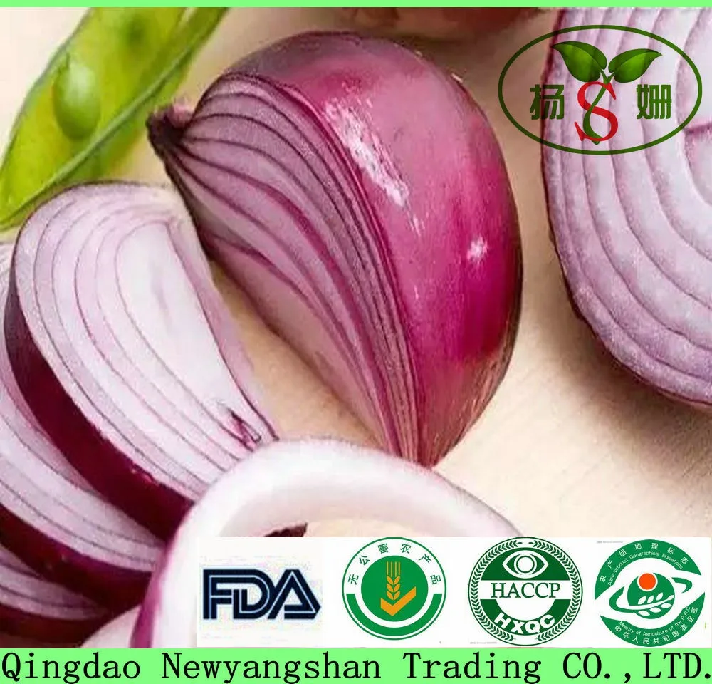 Little Red Onion Exports Southeast Asia/dubai/fresh Onions - Buy Red ...