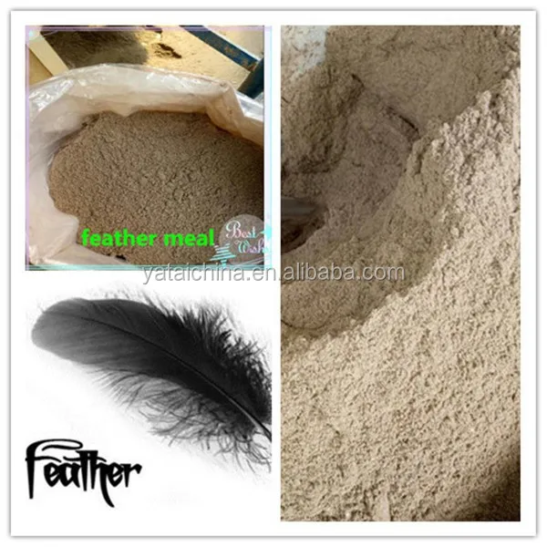 High Quality Feather Meal for Fertilizer Use - YATAI