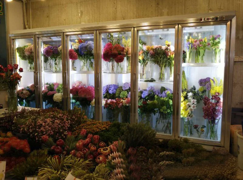 Flower Cabinet Flower Shop Fresh Storage Cabinet Two Three Air-cooled ...