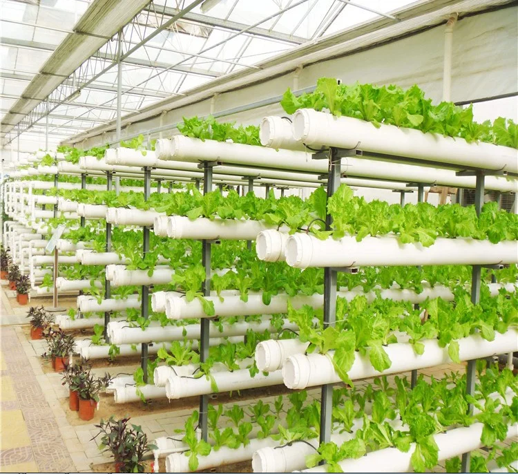 A Frame PVC Pipe Hydroponic System - Vertical Grow Solutions