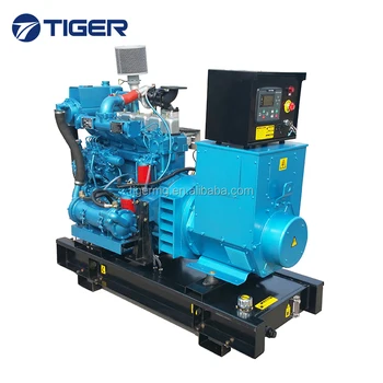 High Quality Diesel Generator Fuel Pump With Big Discount - Buy Diesel ...