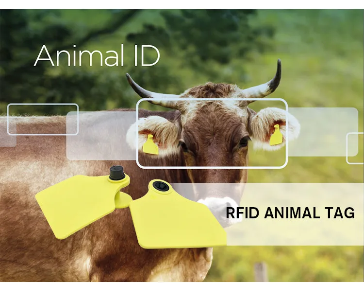 Gsc3015 125khz Dia 28mm Tk4100 Animal Rfid Tag For Goat - Buy Animal ...