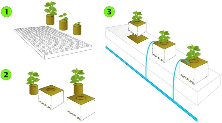 Tomato Cucumber Planting Rockwool Hydroponics System - Buy Tomatoes ...