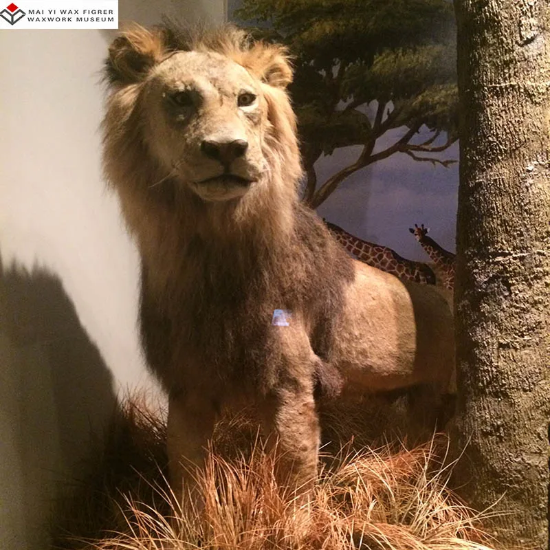Lifelike Imitation Animal Statue For Exhibition Hall - Buy Fiberglass ...