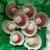 Sea Scallop With Roe Iqf Frozen Seafood - Buy Iqf With Roe Sea Scallops ...