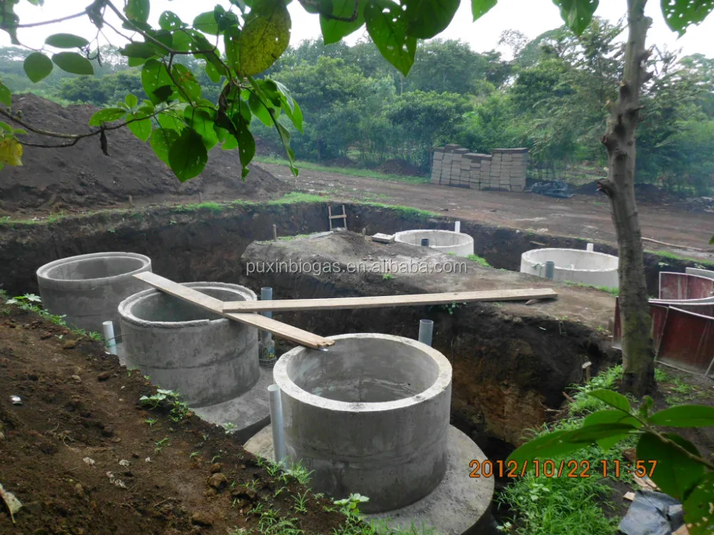 Puxin Design 10m3 Domestic Small Biogas Digester For Cooking And ...