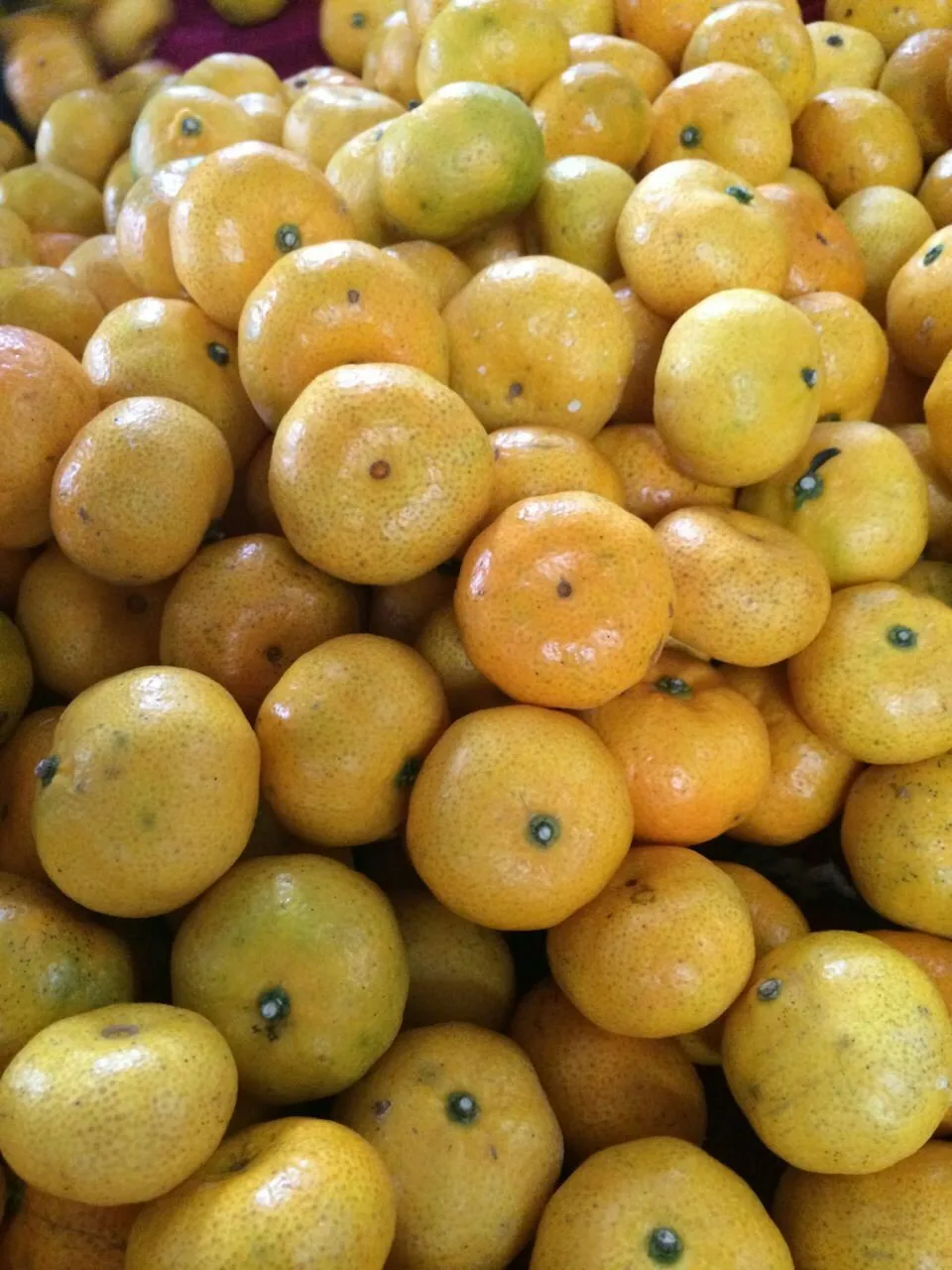 Nanfeng Baby Mandarin Orange/sour Taste/hot Sale - Buy Orange,Mandarin ...