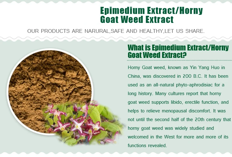 Bulk Pure Epimedium Extract Icariin 50 60 80 98 Gnc,10% 60% 90% 98% Of ...