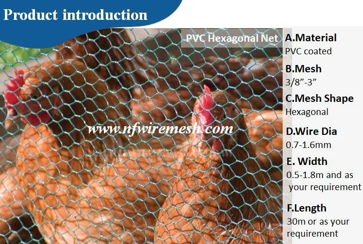 Galvanised Poultry Wire Mesh - Durable and Corrosion Resistant