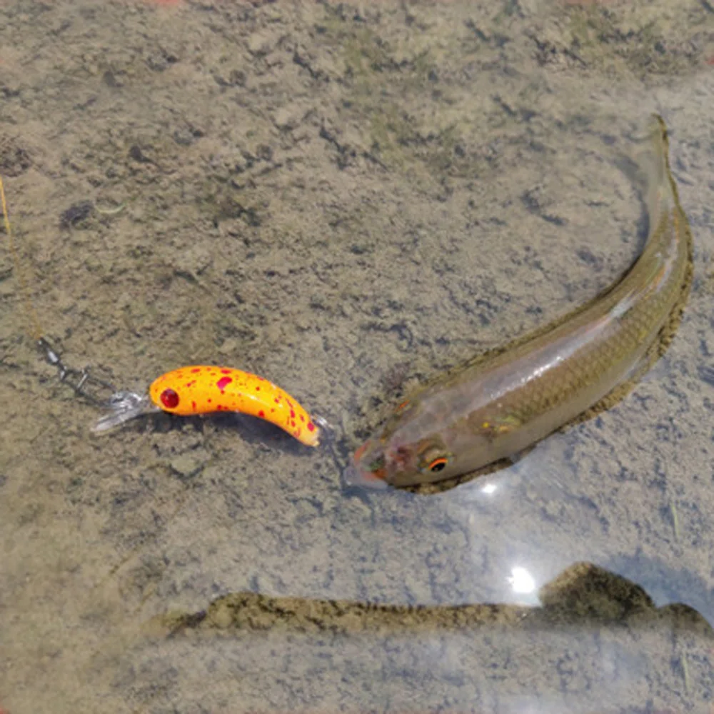 3.7cm 1.5g Mini Trout Top Water Crankbait Single Hook Pesca Wobbler ...