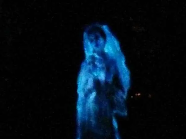 Fire Rated Theater Scrim Material For Performance And Outdoor ...