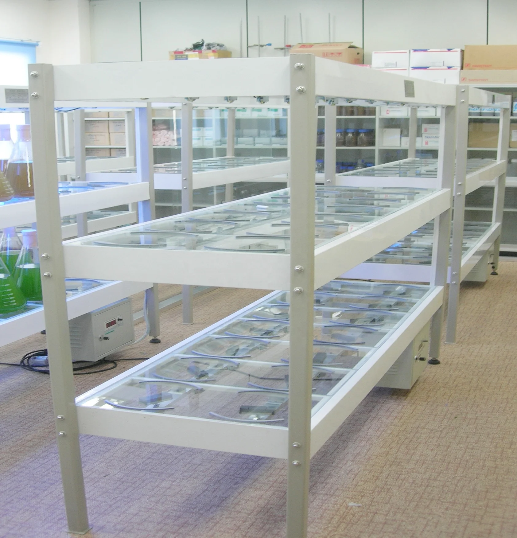 Chlorella Microalgae Algae Culture for Aquaculture Equipment Storage ...