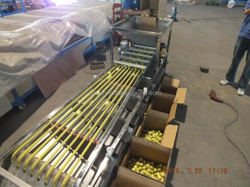 Automatic Commercial Cherry Size Sorting Grading Machine Auto ...