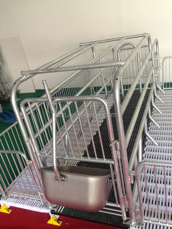 Farrowing Crate With Pvc Fence Or Grill Fence - Buy High Quality ...