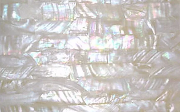 River Shell Sheet - Natural Mother of Pearl for Art Crafts