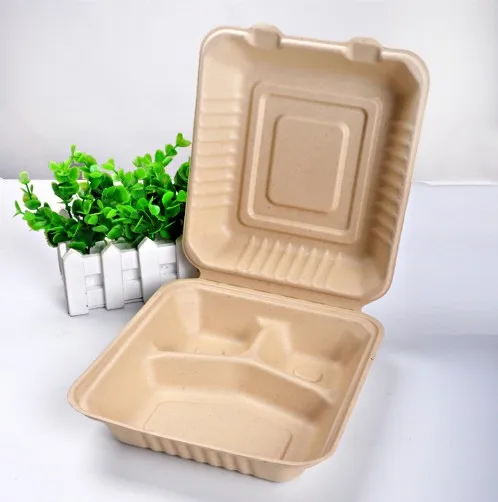 Natual Biodegradable Takeaway Box Recycle Paper Pulp Food Box ...