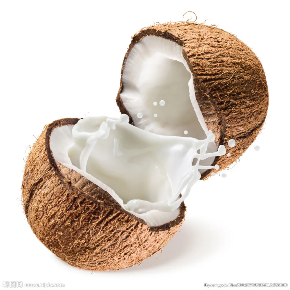 Instantané Organique De Noix De Coco Lait En Poudre En Stock Avec Des ...