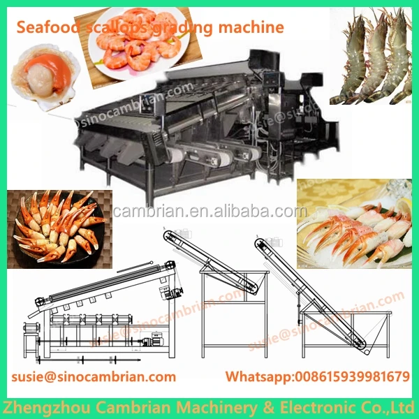 5 Levels Shrimp Grading Machine Crayfish Sorter With Rotation Roller ...