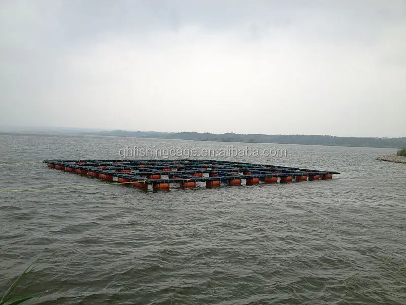 Catfish Farm/trout Cage Farm/carp Cage Farm Hdpe Floating Farming Fish ...