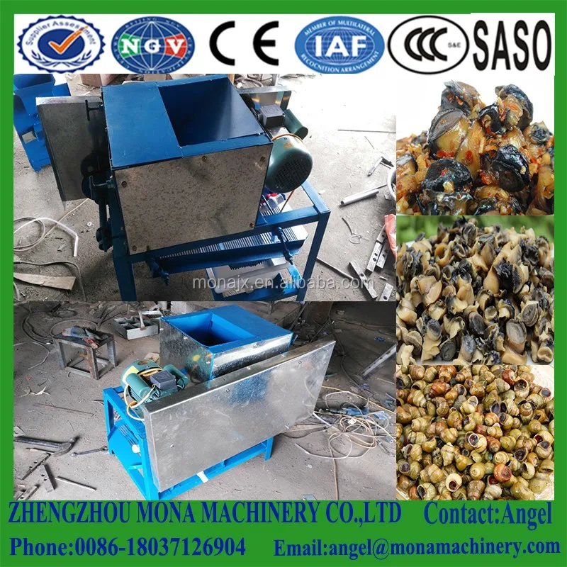 High Efficiency Snail Processing Machine/industrial River Snail Meat ...