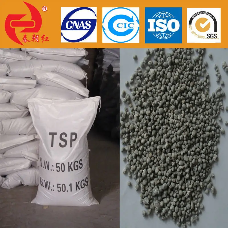Triple Super Phosphate (TSP) - Efficient Phosphate Fertilizer